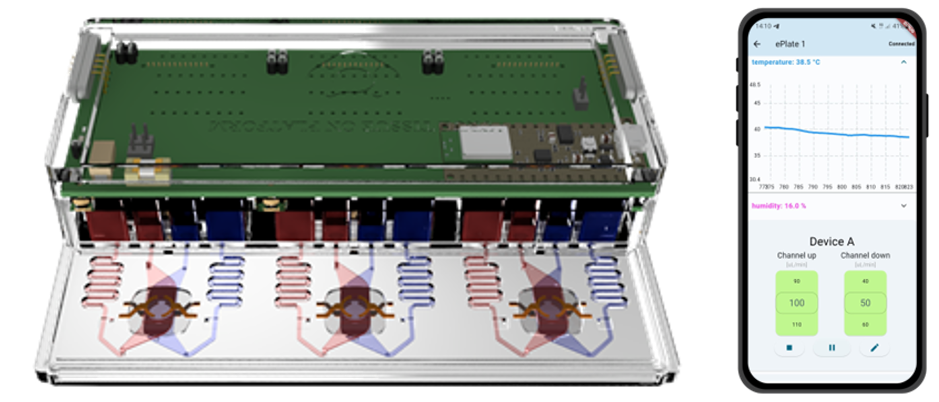 Attic_Home – Biomechanics Group